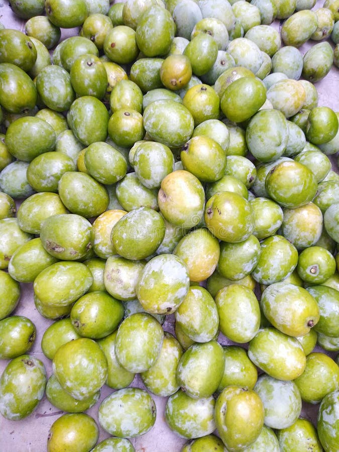 Farm Fresh Raw Mangos in Bulk Stock Photo - Image of farm, mangos ...