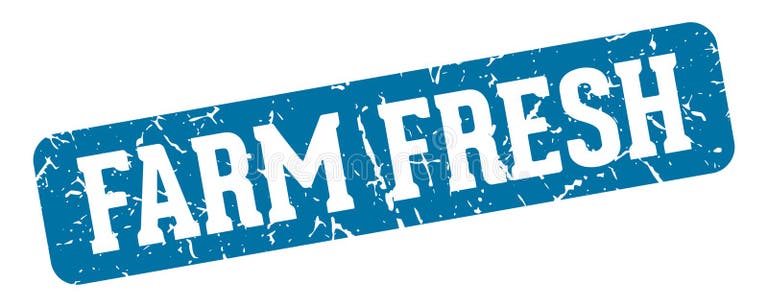 Farm Fresh Rectangular Sign. Farm Fresh Stamp Stock Vector ...