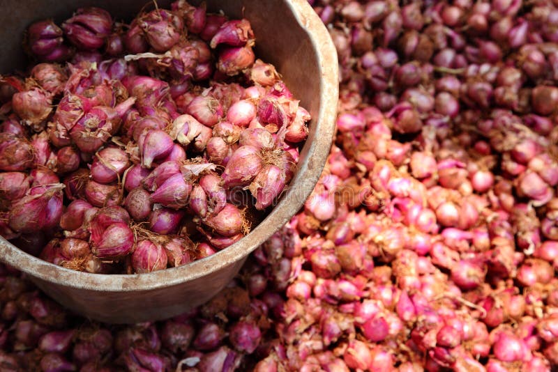 Farm fresh small onions stock image. Image of fresh, texture - 20893989
