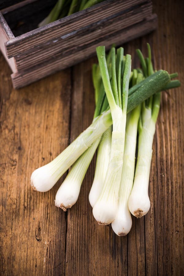 Farm fresh spring leek stock photo. Image of gourmet - 69724016