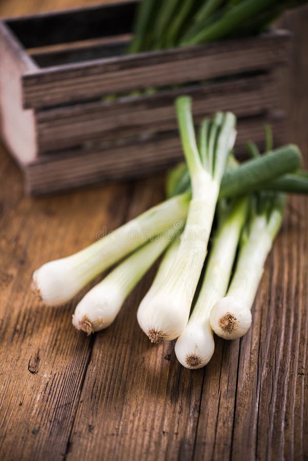 Farm fresh spring leek stock image. Image of local, green - 69724113