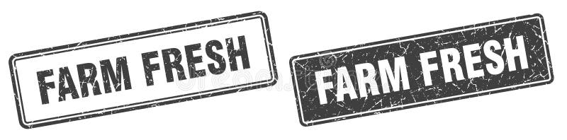 Farm Fresh Stamp Set. Farm Fresh Square Grunge Sign Stock Vector ...