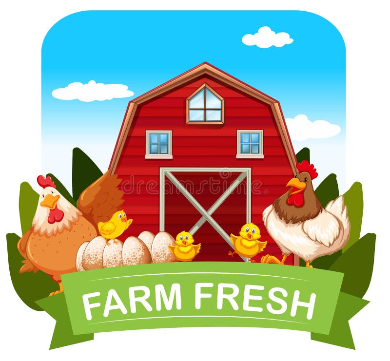 Cartoon Barn Chickens Stock Illustrations – 193 Cartoon Barn Chickens ...