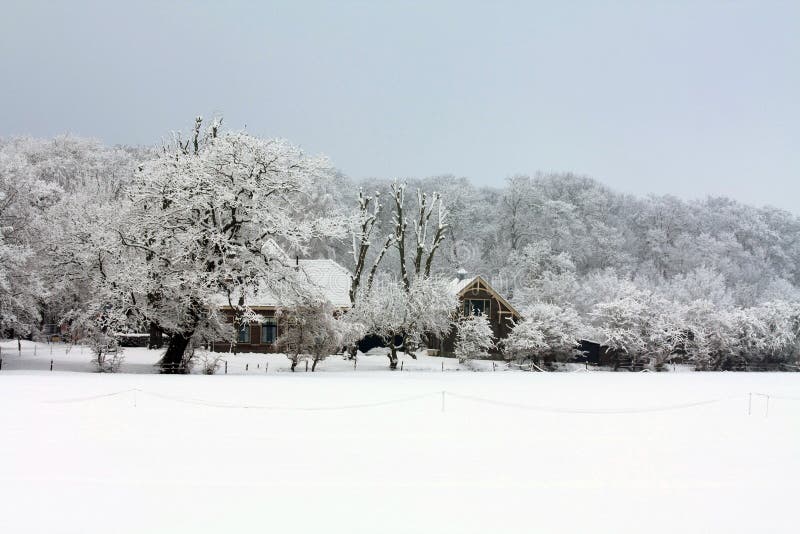 A Farm in a Frosted Winter Forest Stock Photo - Image of cool, holland ...