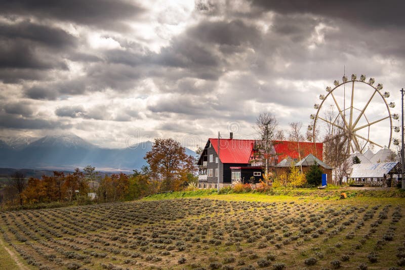 Farm garden stock image. Image of tokyo, blossom, mount - 64345841