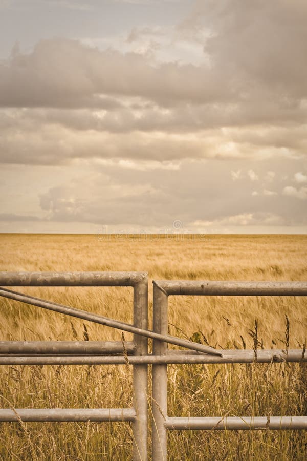 Farm gate stock photo. Image of farm, natural, metal - 20075574