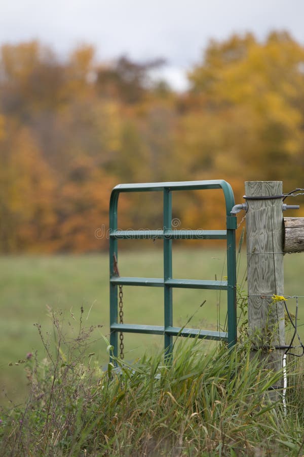 Farm gate stock image. Image of wood, weathered, gate - 39508441
