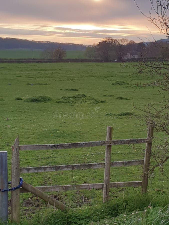 Farm Gate stock photo. Image of sunset, field, farm - 144404396