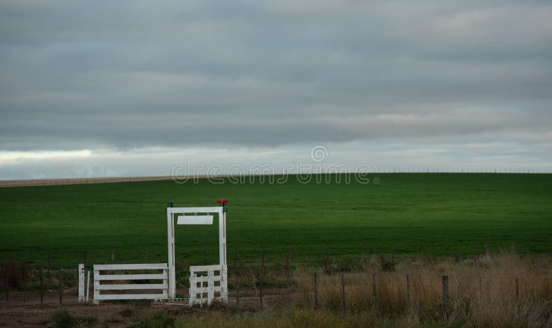 Farm gate and green field stock photo. Image of estate - 185679798