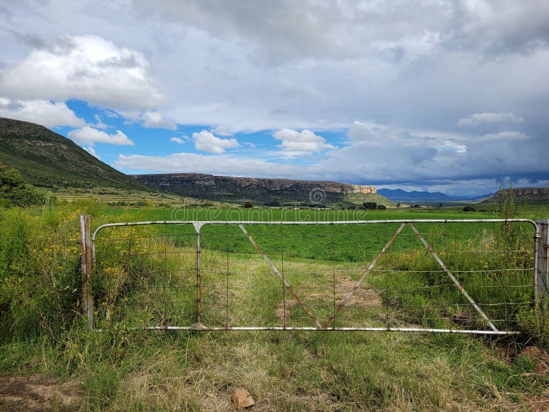 Gate in green stock photo. Image of rambler, wood, botanic - 2811980