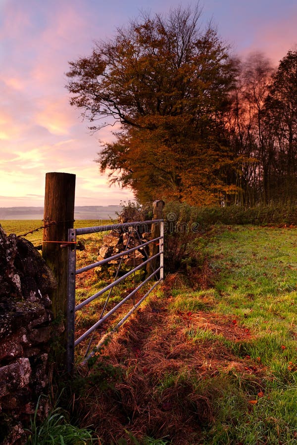 Farm Gate stock image. Image of scenic, scenery, tradition - 14120367