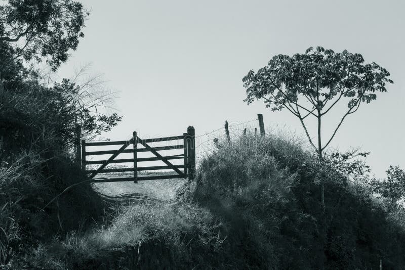 Farm Gate at the Top of the Road Stock Image - Image of meadow, fence ...