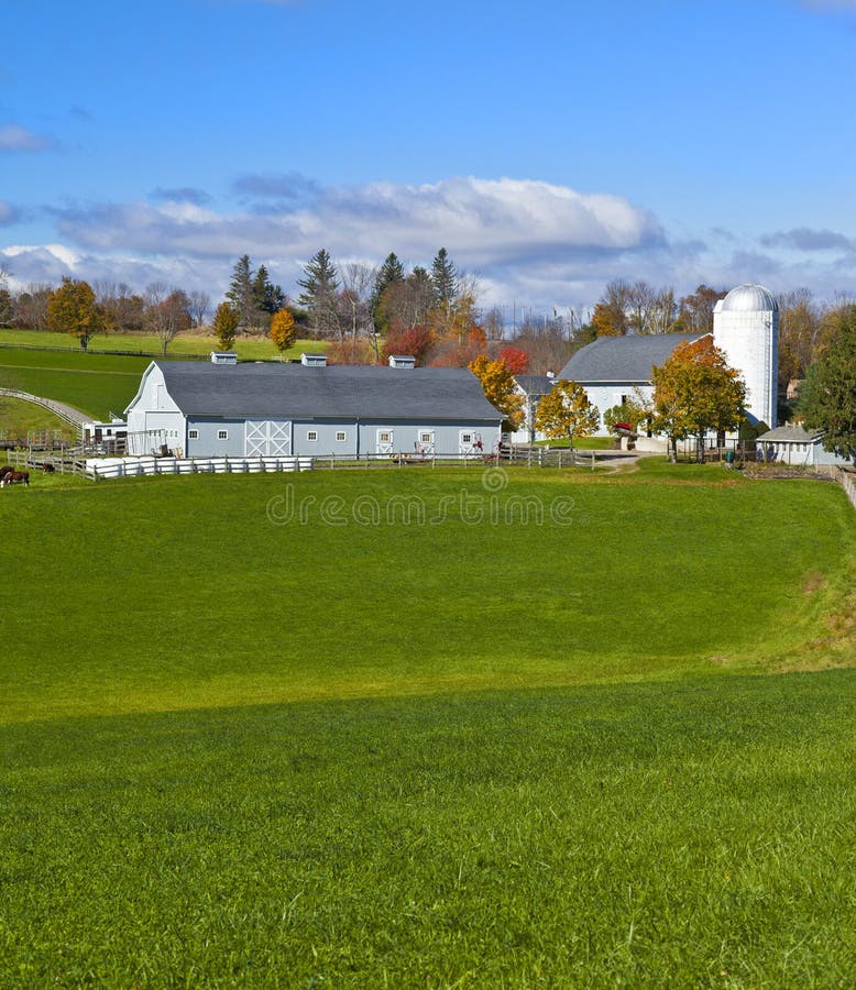 Generic Dairy farm stock image. Image of cows, american - 27242491