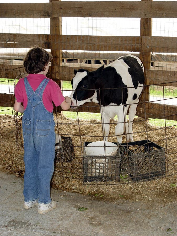 Farm Girl stock photo. Image of spots, petting, animal - 1078842