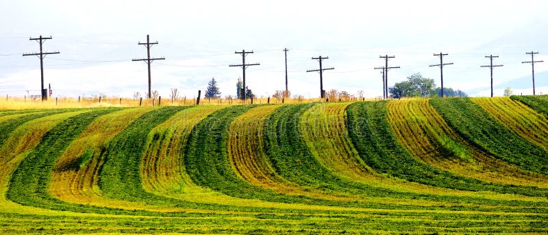 Farm Ground with Furrows in Field Mountains in Background Stock Image ...