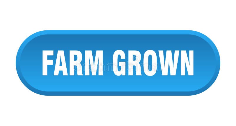 Grown Button Stock Illustrations – 350 Grown Button Stock Illustrations ...