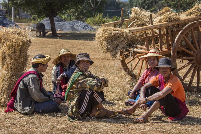 Farm Hands - Shan State - Myanmar (Burma) Editorial Photo - Image of ...