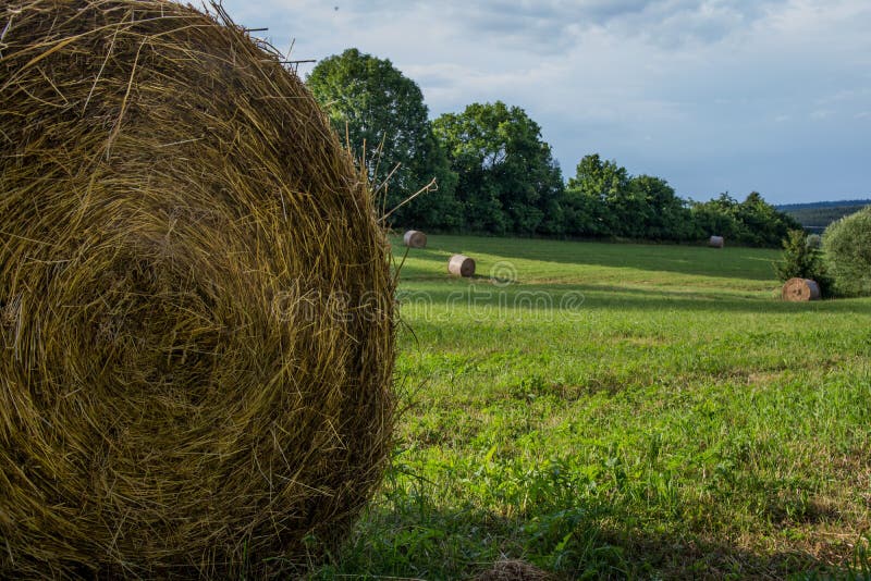 Farm hay bale landscape stock image. Image of straw, outdoors - 5703319
