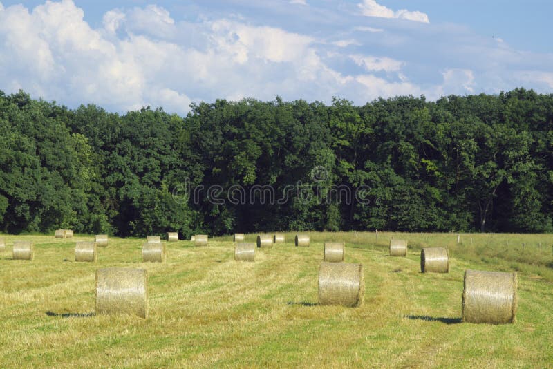 Farm hay bale landscape stock image. Image of straw, outdoors - 5703319