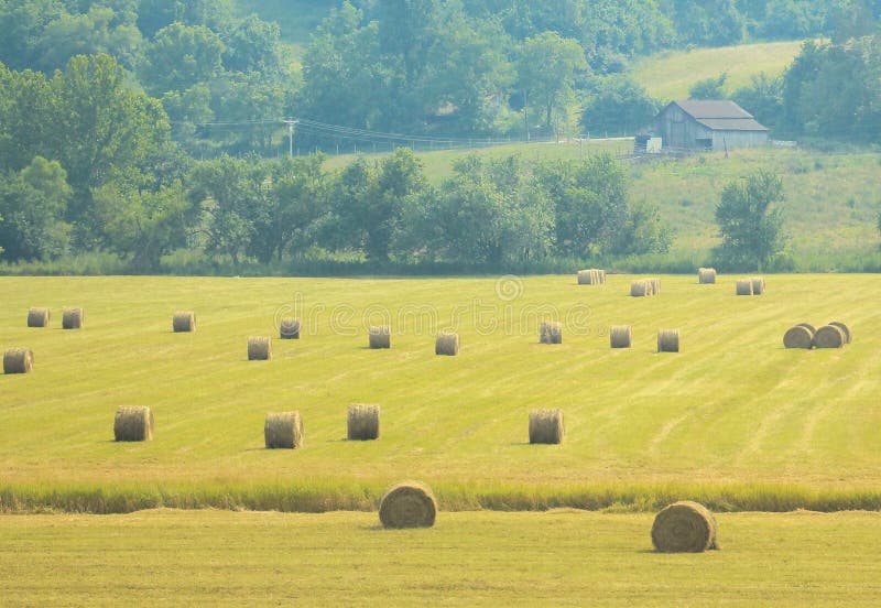 Farm and hay bales stock image. Image of harvest, farm - 58853815