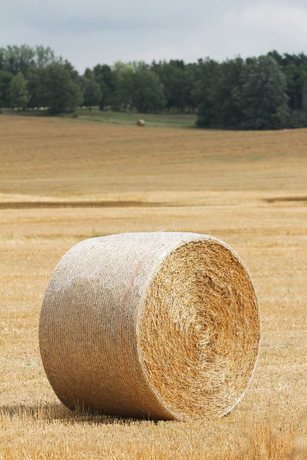 Farm Hay Harvest stock image. Image of farmland, golden - 32575377