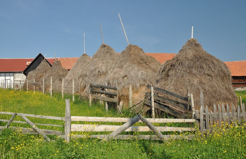 Farm haycock stock image. Image of attraction, growing - 25128367
