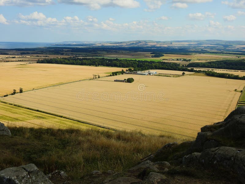Farm hill landspace stock photo. Image of horizon, morning - 229122276