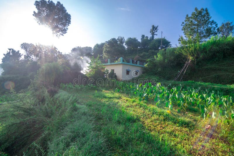 Farm in Himalaya stock image. Image of pasture, countryside - 129455205