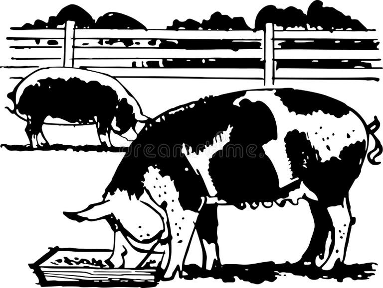 Pigs Eating Stock Illustrations – 292 Pigs Eating Stock Illustrations ...