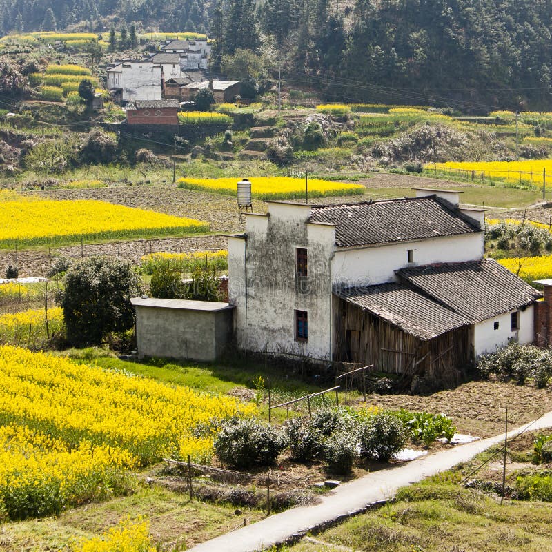 A Chinese Village House And Farm Land Stock Photo - Image of spring ...