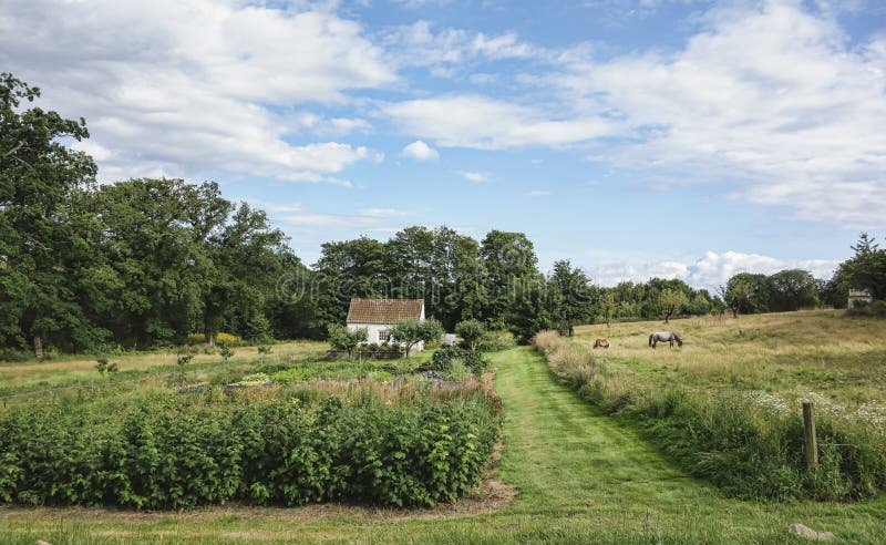 Farm house in Denmark stock photo. Image of countryside - 26234082
