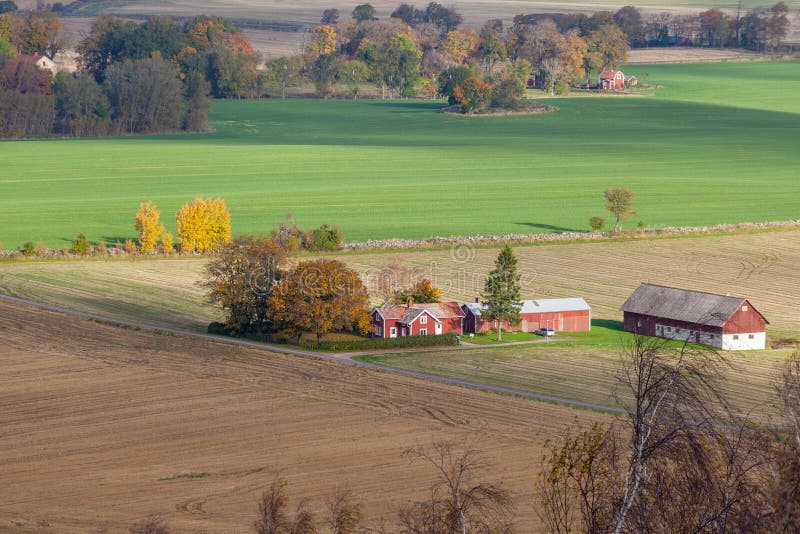 Victorian Farm House and Wheat Field Stock Photo - Image of background ...