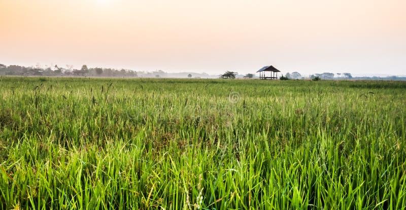 Farm house morning stock photo. Image of harvest, landscape - 39971188