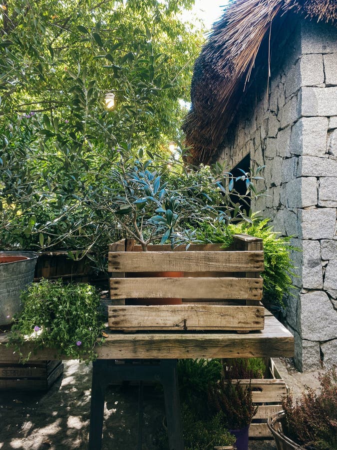 Farm Hut Made of Stone Surrounded by Plants, Trees , Wooden Boxes and ...