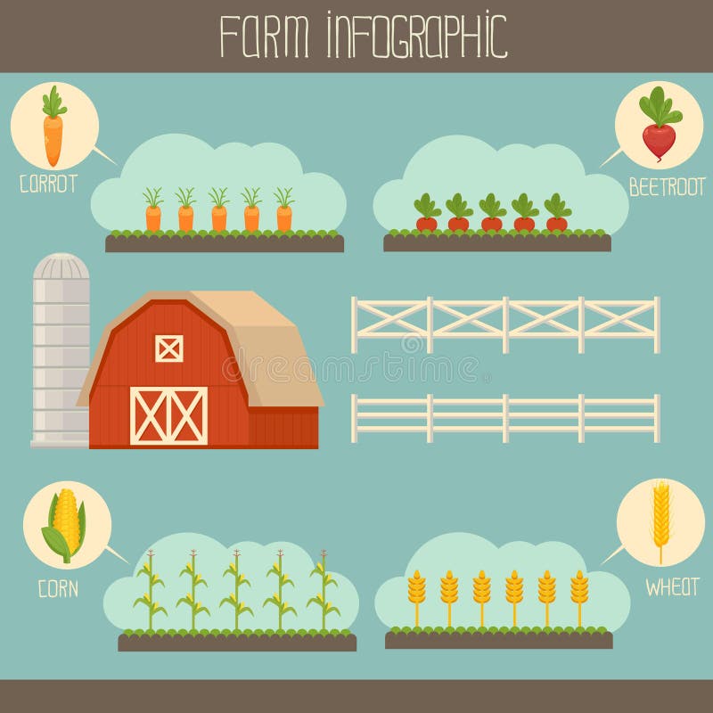 Farm infographic stock vector. Illustration of granary - 45558221