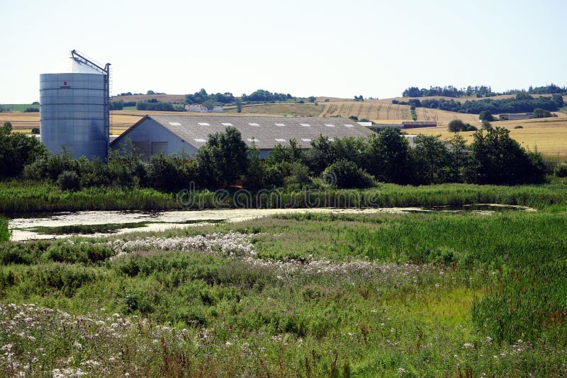 Farm and lake stock image. Image of pond, flower, green - 156476567