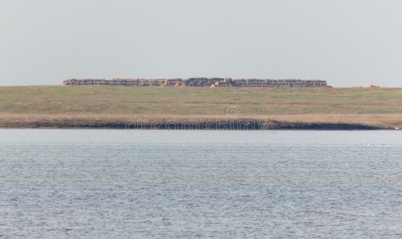 Farm on a Lake in the Steppe Stock Photo - Image of pond, travel: 322139078