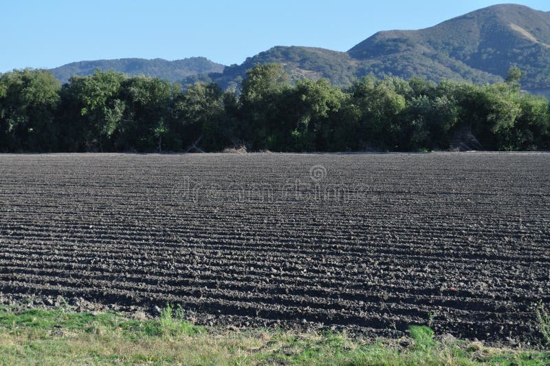 Farm Land stock image. Image of lined, path, country - 10708191