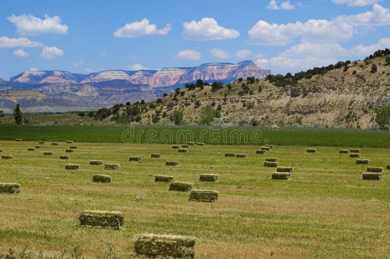 Farm land stock image. Image of crop, harvest, farm, farmer - 194017