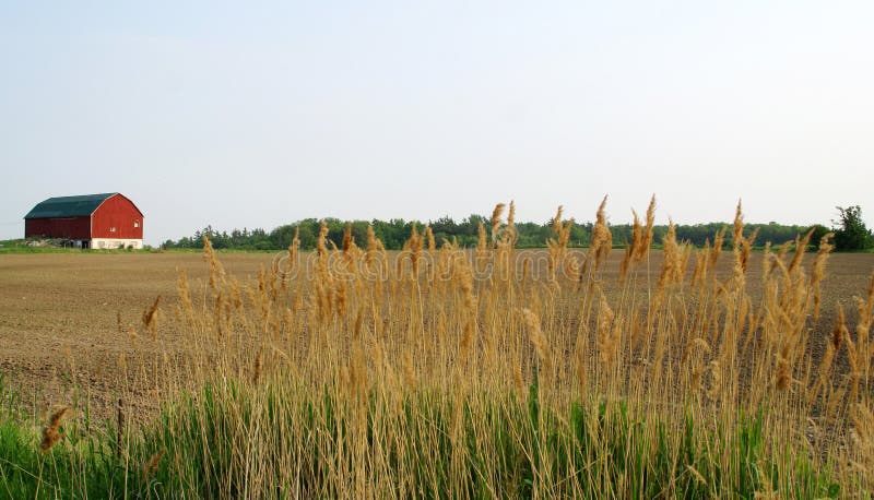 Farm land stock photo. Image of farm, leaves, green, rural - 2547828