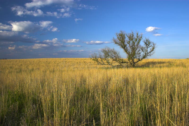 Farm land stock photo. Image of vacation, prairie, farm - 3285722
