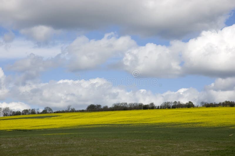 Farm land stock image. Image of scenic, spring, cloud - 5662081