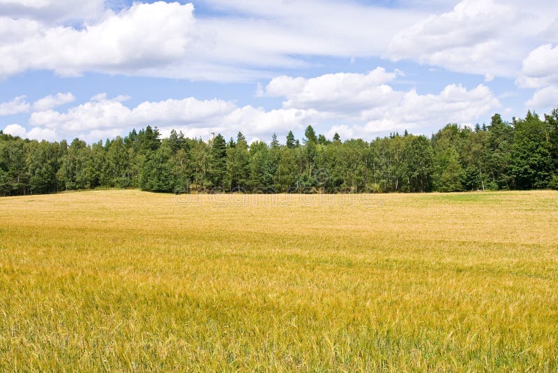 Farm land stock image. Image of land, meadow, outside - 6034197
