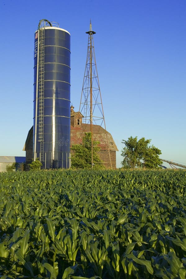 Farm Land stock image. Image of fresh, farm, harvested - 9082855