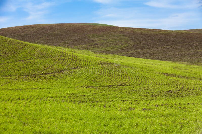 Farm Land stock photo. Image of spring, rolling, plant - 31315328