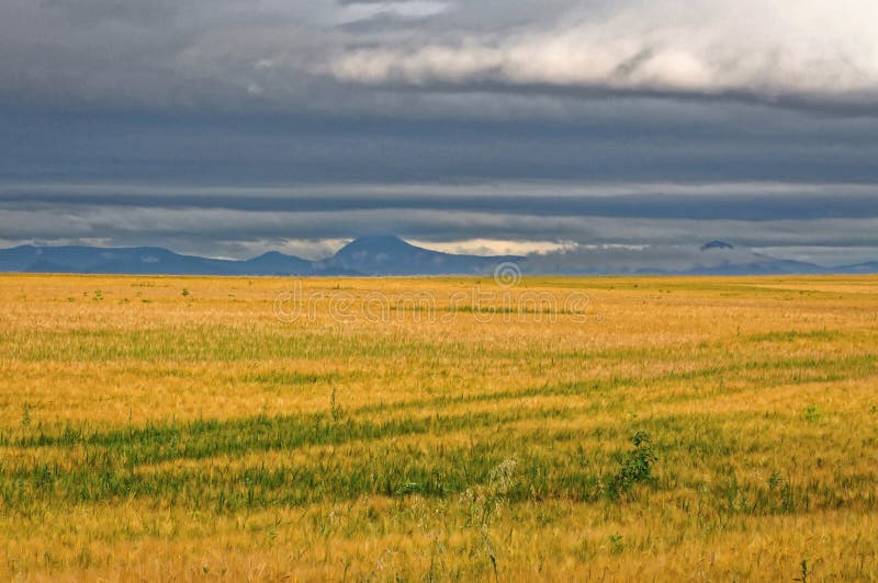 Farm land with dark sky stock image. Image of country - 91983149