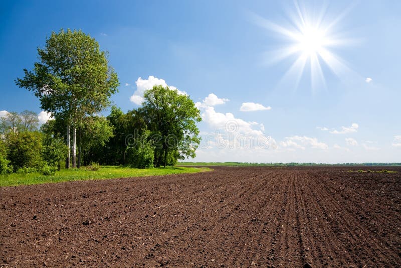 Farm land field stock image. Image of organic, growth - 28599987