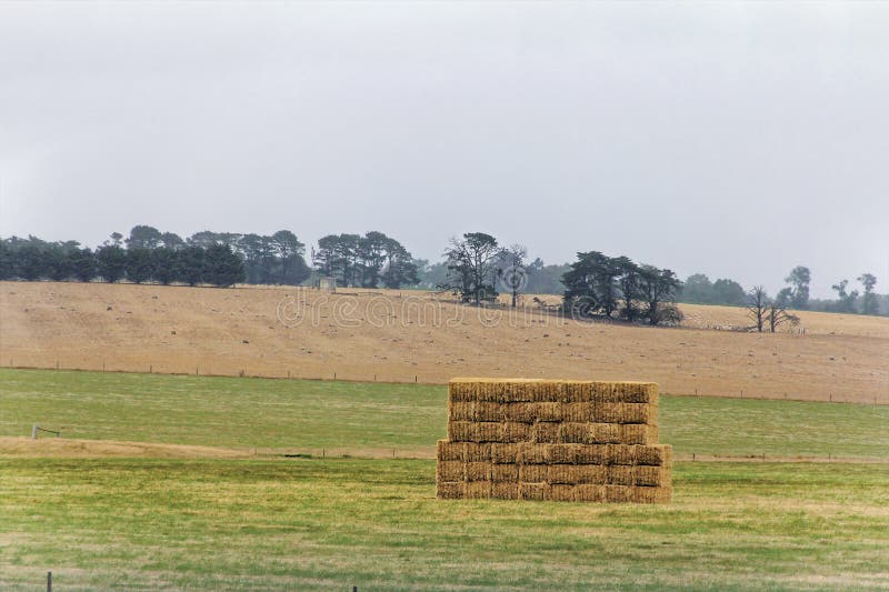 Farm land in rural area stock image. Image of agriculture - 65676923