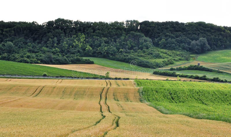 Farm land in the slope stock image. Image of natural - 91973773