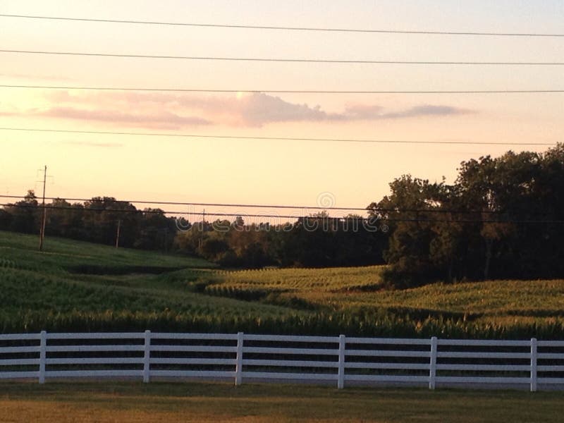Farm land stock photo. Image of farm, crops, land, sunset - 50316476